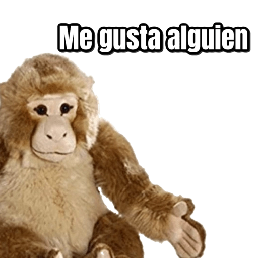 Memes ayno ★ Stickers pour WhatsApp